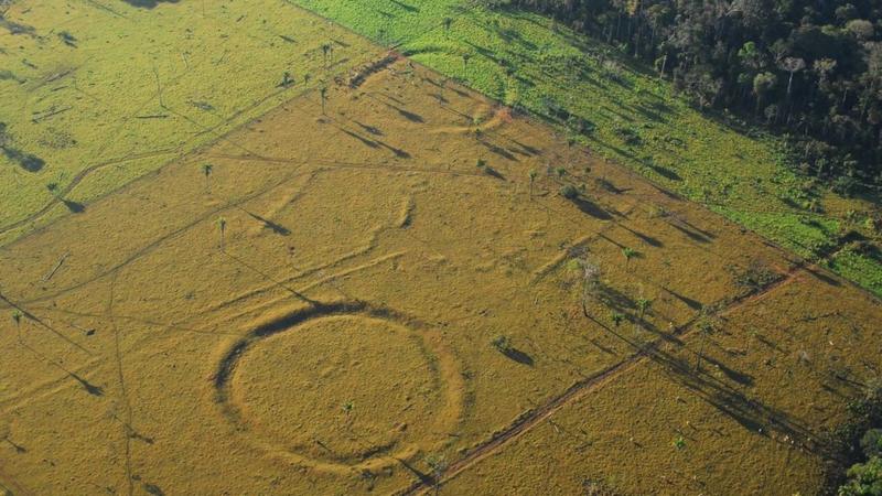 Humans in Amazon rainforest 'earlier than thought' - BBC News