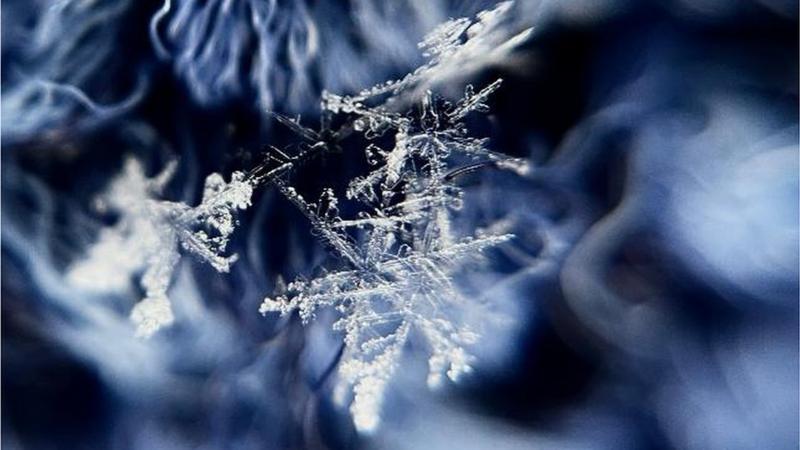 Beautiful snowflakes photographed by BBC Weather Watchers - BBC Weather