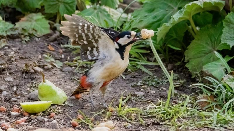 Your pictures of Scotland 16 - 23 April - BBC News