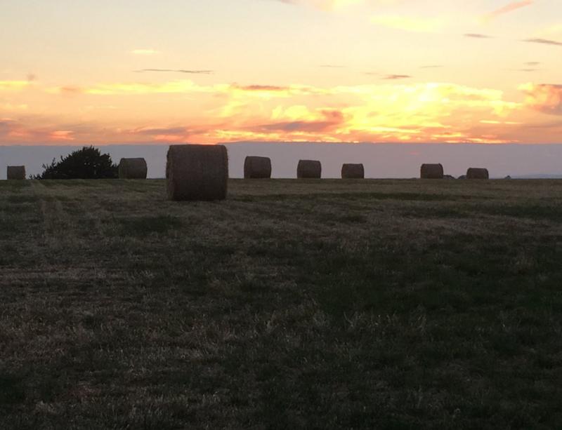 England's Big Picture: 16 - 22 July - BBC News