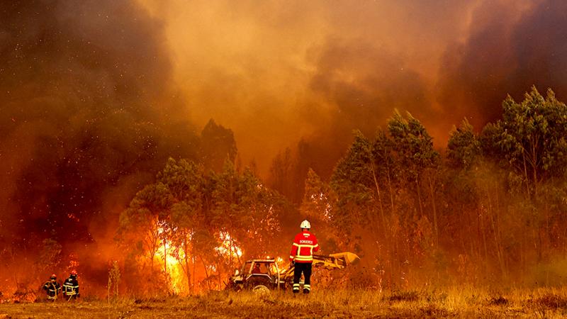 Portugal battles wildfires amid third heatwave of the year - BBC News