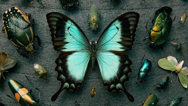 Soldiers of Oxfordshire Museum military objects tell stories of the ...