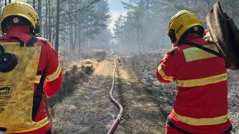 Firefighters tackle heath fires at Poole nature reserves - BBC News
