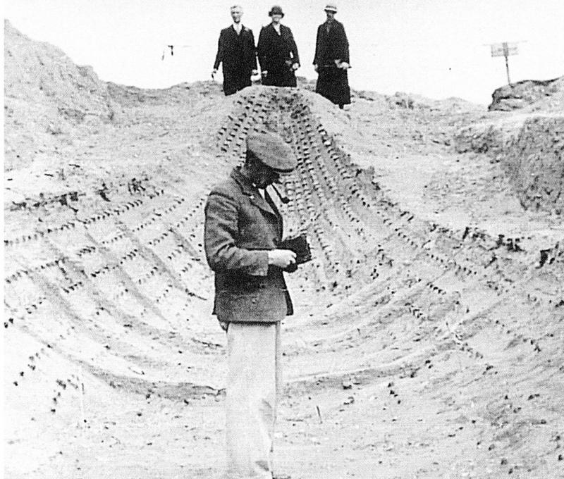 The Dig: Will Gompertz reviews film starring Carey Mulligan & Ralph ...