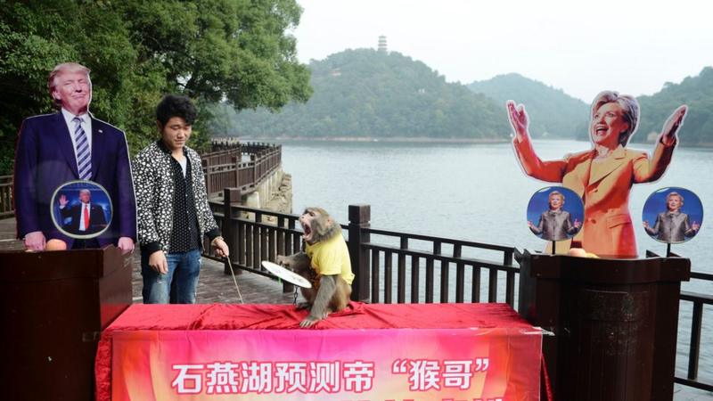 China for Trump? Why some trends are going his way - BBC News