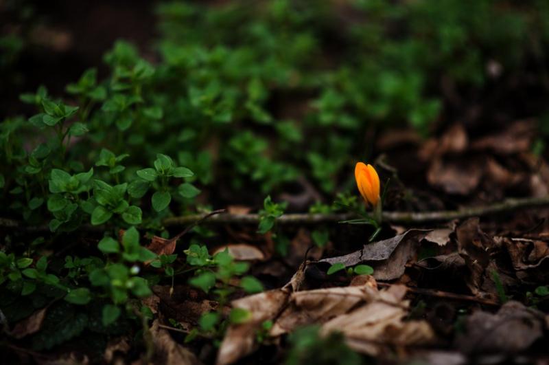 Your pictures: Found - BBC News