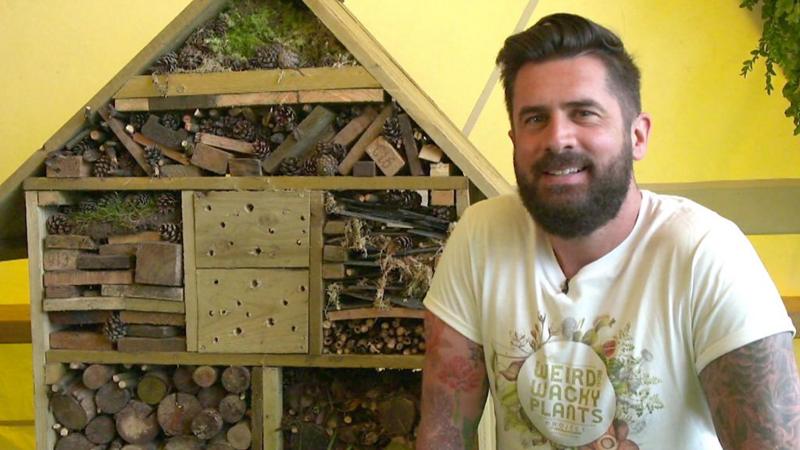 National Robin Day: Top facts about robins - BBC Newsround