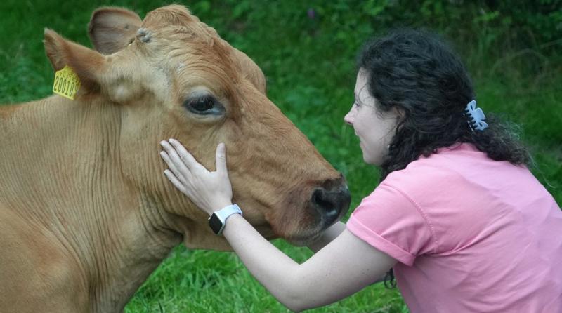 Cow cuddling: Ceredigion ex-monk letting people hug his animals - BBC News