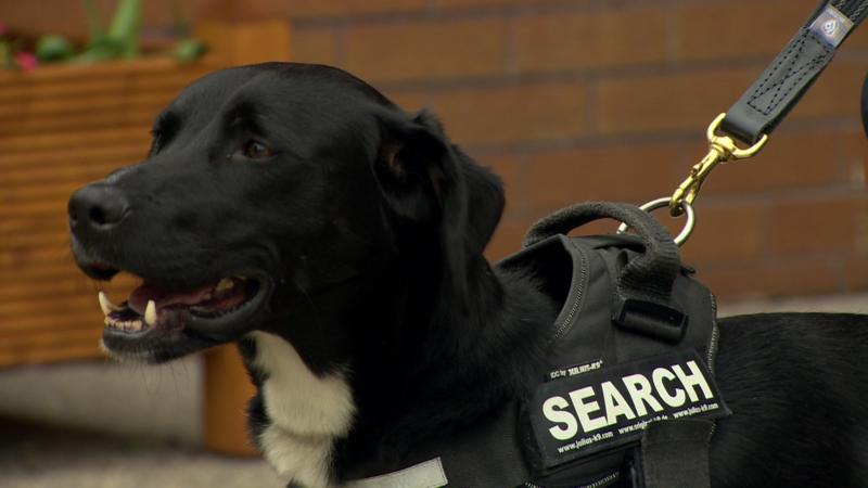 NI prison service gets new 'game-changer' body scanners - BBC News