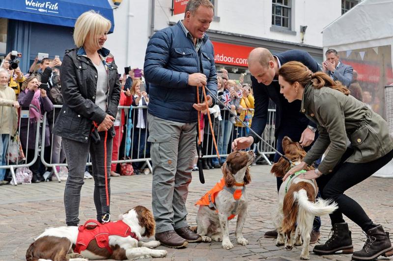 Keswick miracle dog Max the springer spaniel dies - BBC News