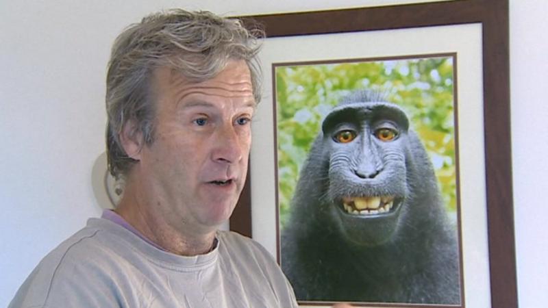 Photographer settles 'monkey selfie' legal fight - BBC News
