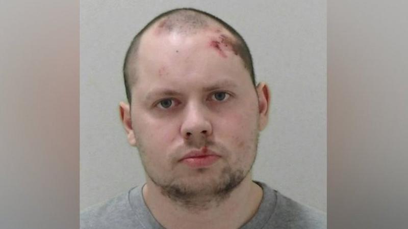 Michelle Hanson: Alexander Carr admits Sunderland murder - BBC News