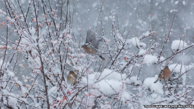 A year of stunning Weather Watchers photos - BBC Weather