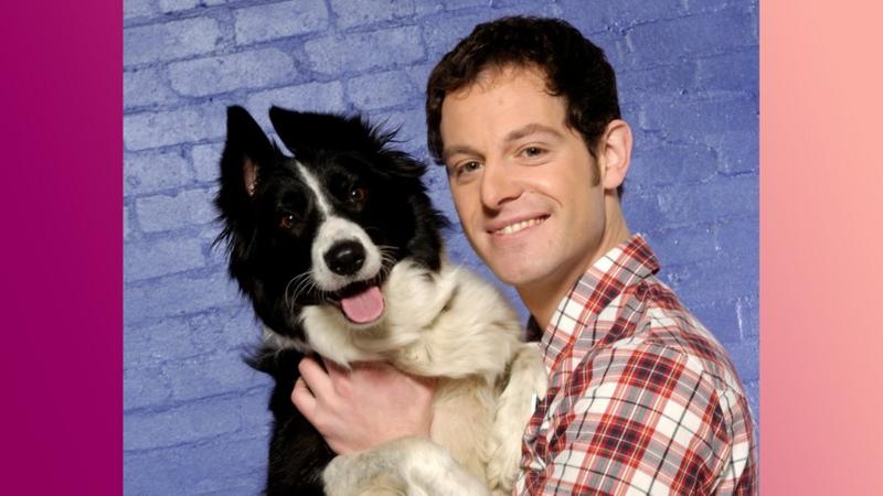 Blue Peter pets: Dogs, horses, and, of course, tortoises - BBC Newsround