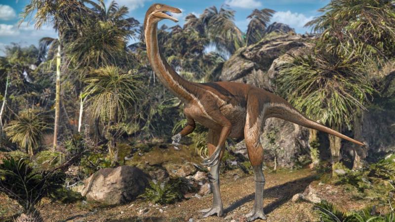 In the 200 years since the first dinosaur was named what have we ...