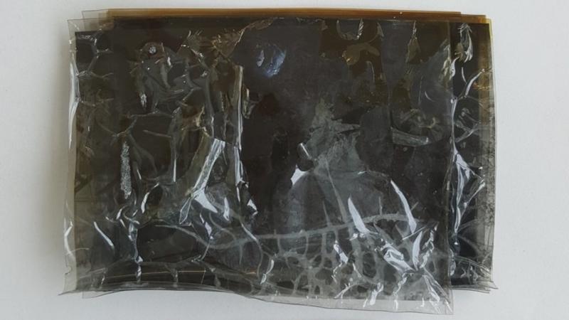 Edward Chambre Hardman: National Trust shows photographer's archive ...