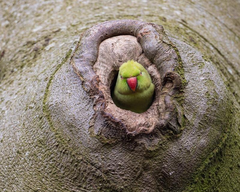 Your pictures on the theme of 'shelter' - BBC News