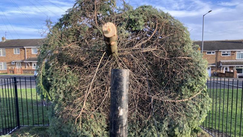 Men arrested after Shotton Colliery Christmas tree cut down in Durham ...