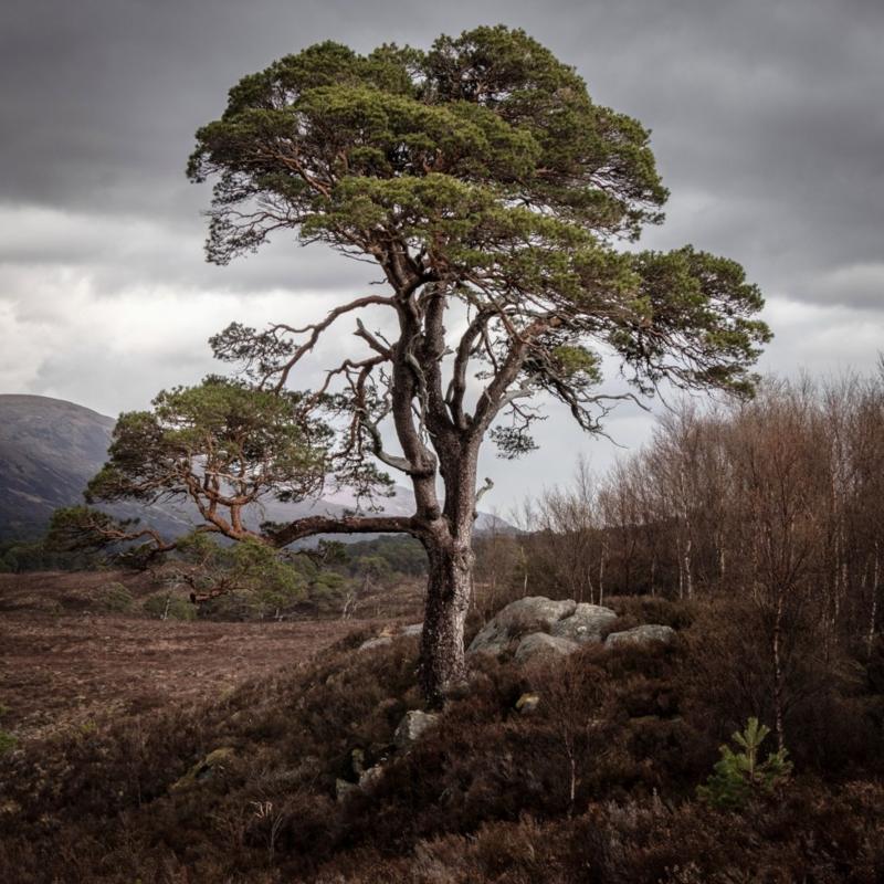 Your pictures of Scotland 30 April - 7 May - BBC News