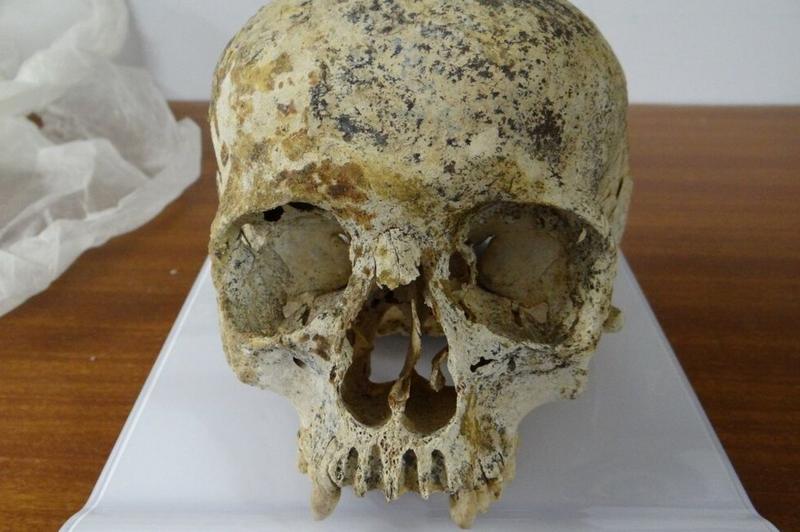 Effort to unlock secrets of 3,700-year-old woman 'Ava' - BBC News