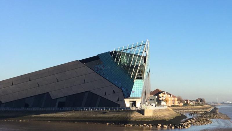 Hull's The Deep aquarium attraction marks 20th anniversary - BBC News