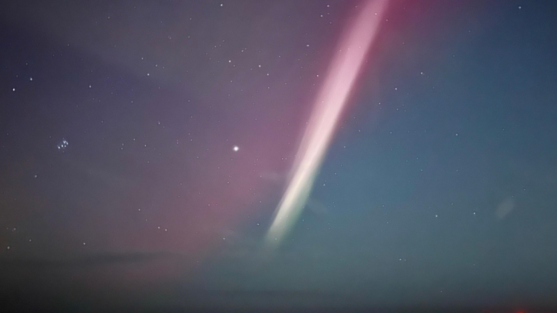 Northern Lights: What is Steve and why is it different to an aurora ...