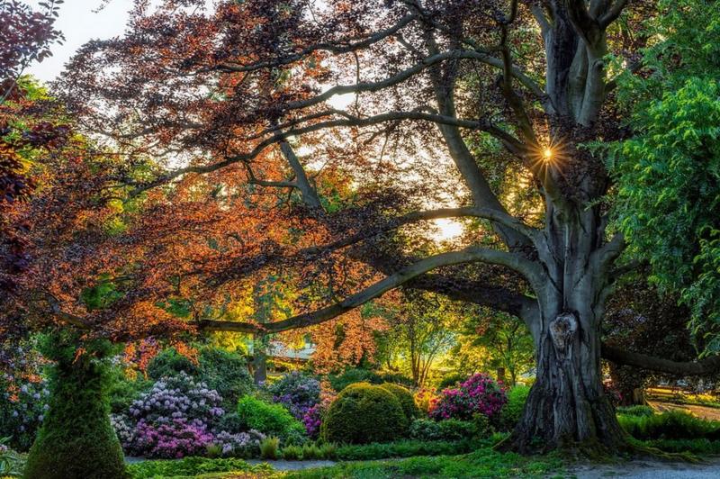 International Garden Photographer of the Year winners revealed - BBC News