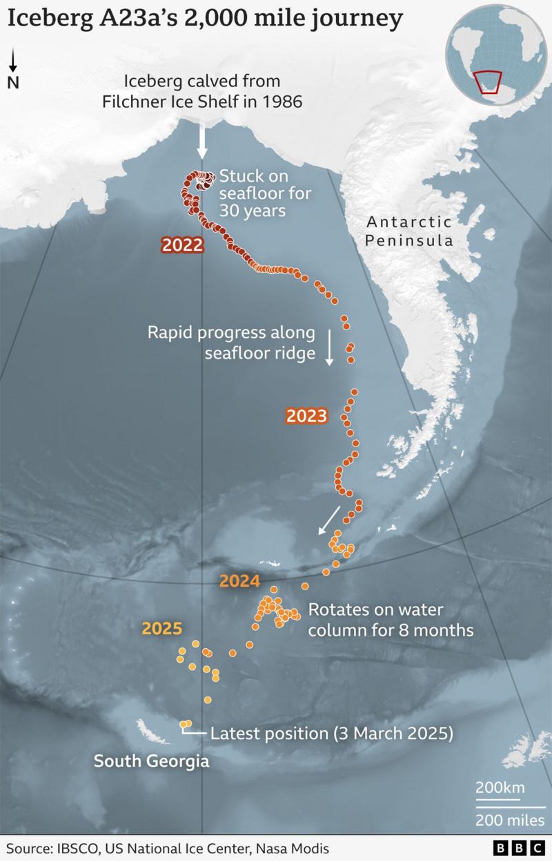 A23a: World's biggest iceberg runs aground off remote island - BBC News