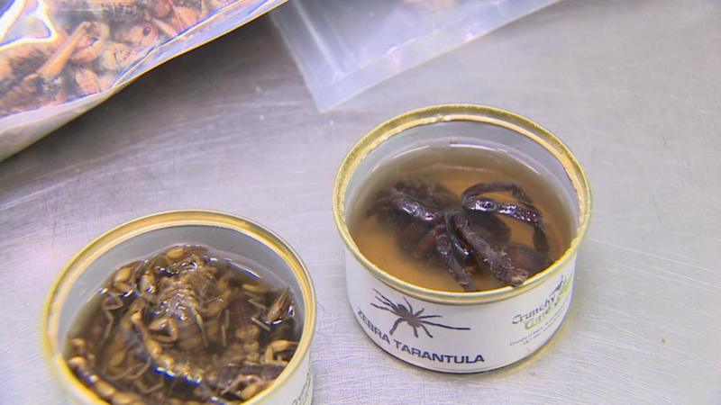 Nice news: Your favourite stories from around Scotland - BBC News