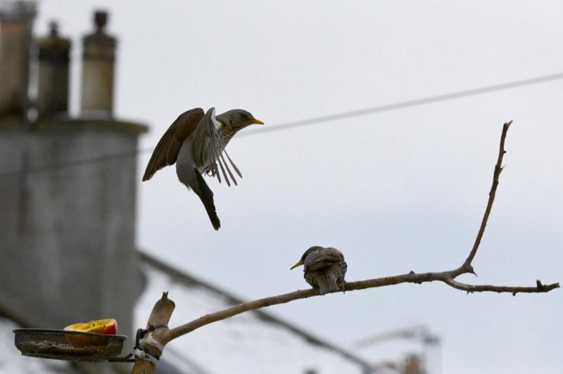 Your pictures of Scotland 19 - 26 February - BBC News