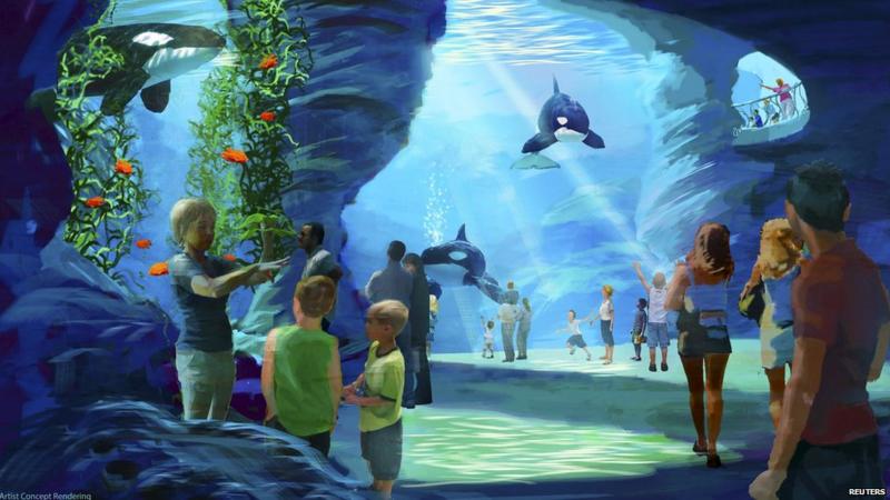 The story of SeaWorld's Shamu killer whales - BBC News