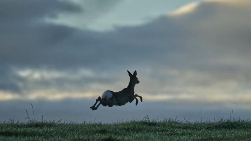 Your pictures of Scotland: 3 November - 10 November - BBC News