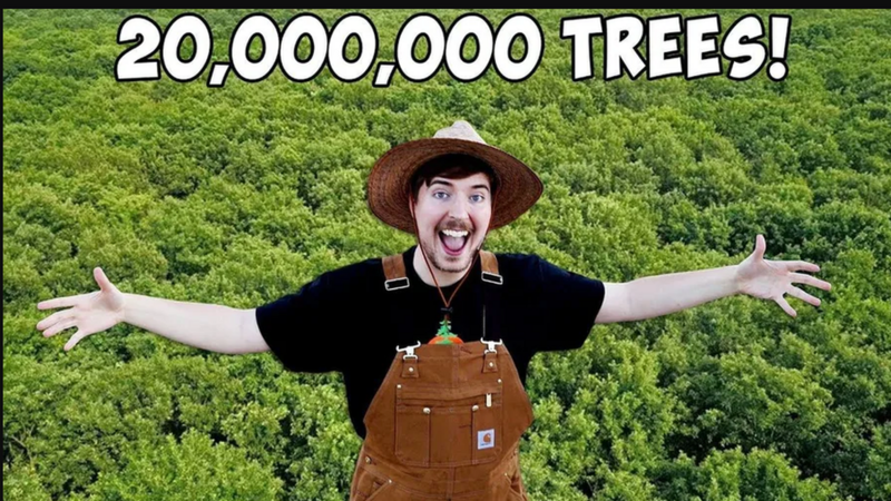 Teamtrees: What is MrBeast's tree-planting mission all about? - BBC ...