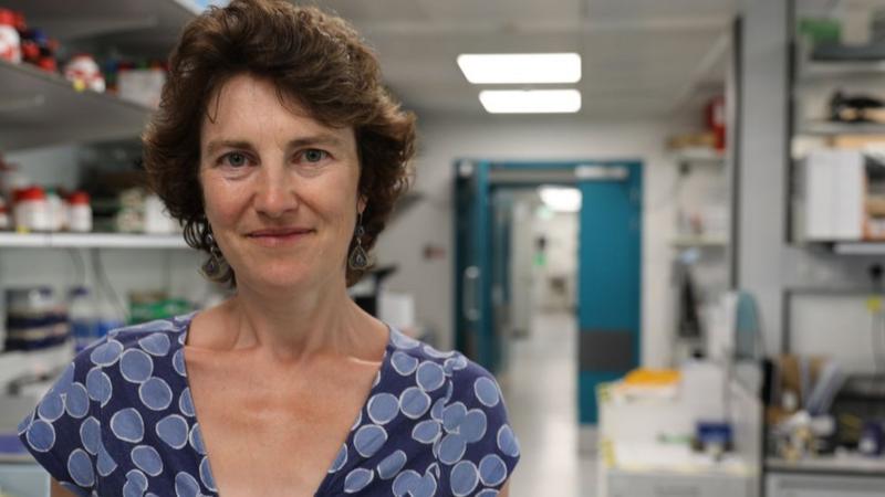 Oesophageal cancer: Cambridge researchers begin capsule sponge trial ...