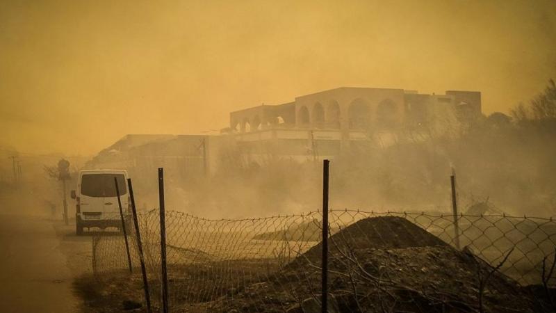 Algeria wildfires: Dozens killed and thousands evacuated - BBC News