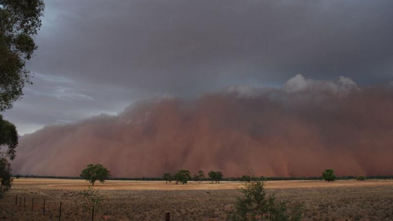 Australia fires: Storms wreak damage but bushfires 'far from over ...