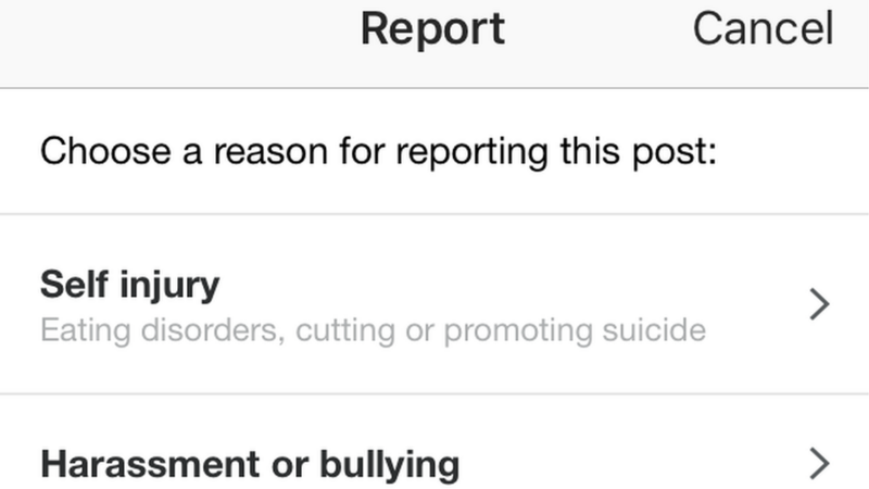 How to report fake news to social media - BBC News