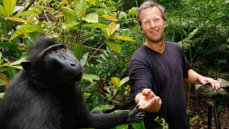 Photographer settles 'monkey selfie' legal fight - BBC News