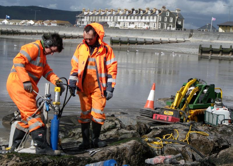 Wildlife colonises man-made rockpools - BBC News