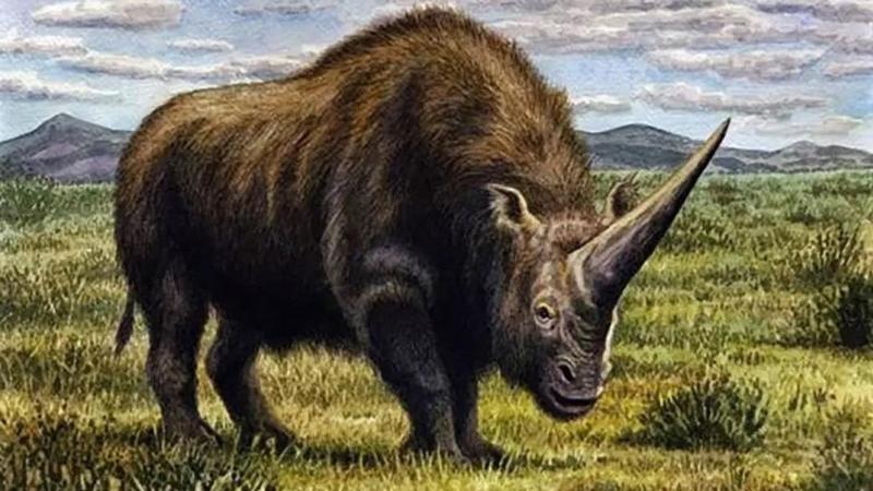 National Unicorn Day is really here! - BBC Newsround