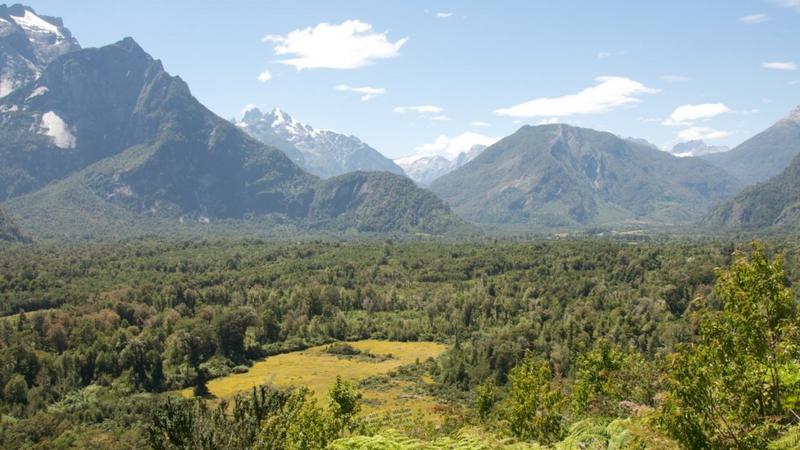 Profile: Douglas Tompkins, billionaire-turned-conservationist - BBC News
