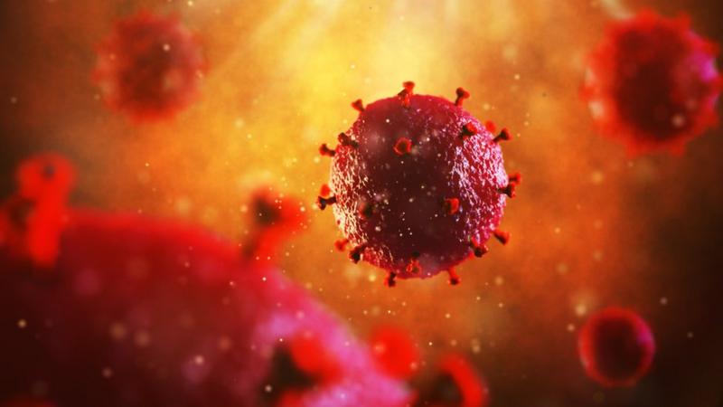 The risks behind the hype of stem-cell treatments - BBC News