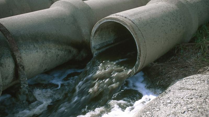 Water pollution: How clean are the UK's rivers and lakes? - BBC News