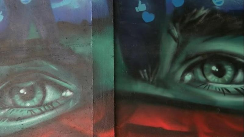 Giant parrots painted on Peterborough 'bird man's' house - BBC News