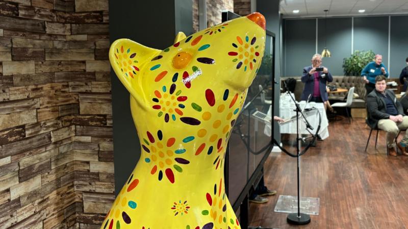 Why are rat statues coming to Hull? - BBC Newsround