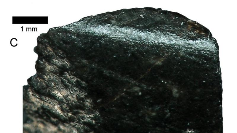 'Oldest axe' was made by early Australians - BBC News