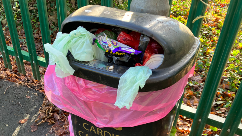Flintshire council apologises after Gronant bin collection delay - BBC News