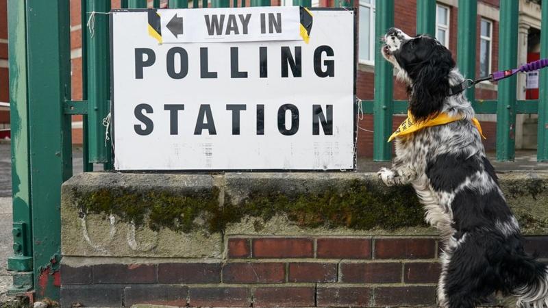 Local elections: What happened and what are they? - BBC Newsround
