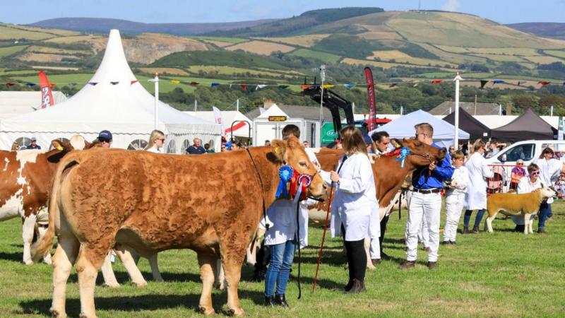 All you need to know about the Royal Manx Agricultural Show - BBC News