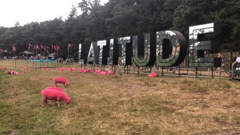 Latitude: Why a cancelled music festival leaves a 'big void' - BBC News